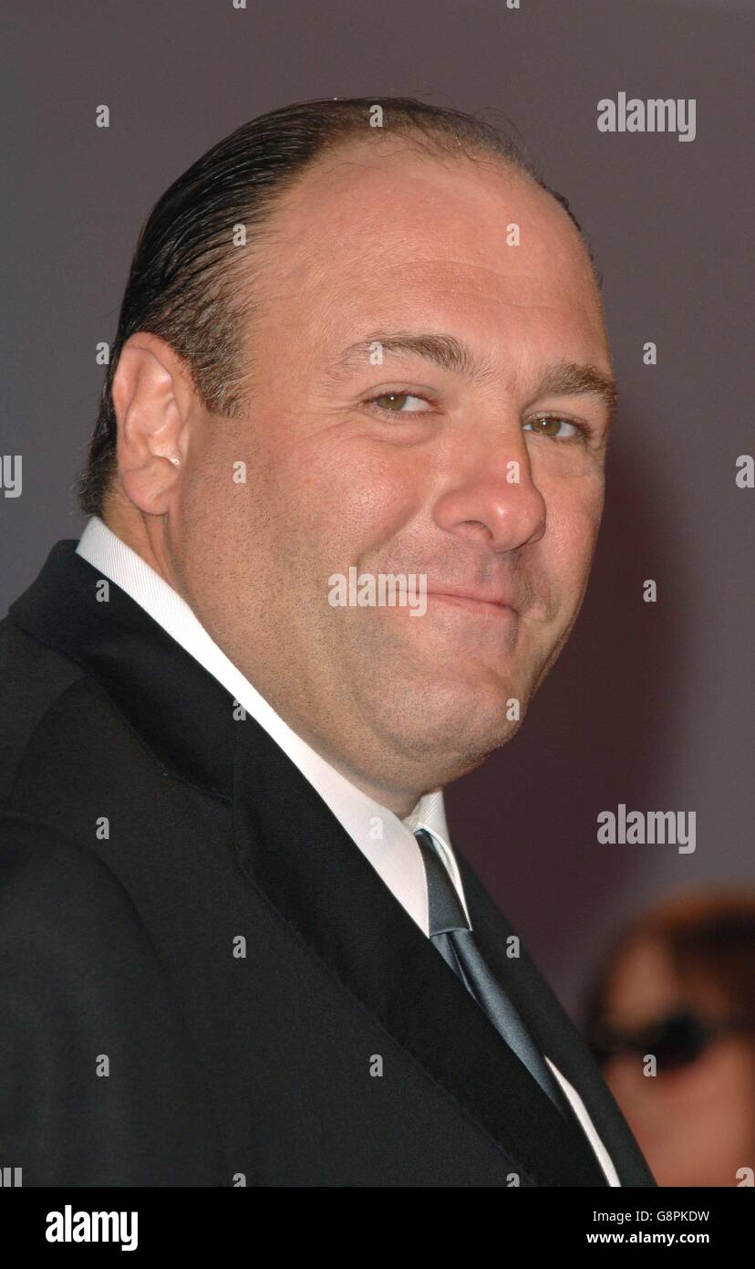 62nd Venice Film Festival - Romance And Cigarettes Premiere - Palazzo ...