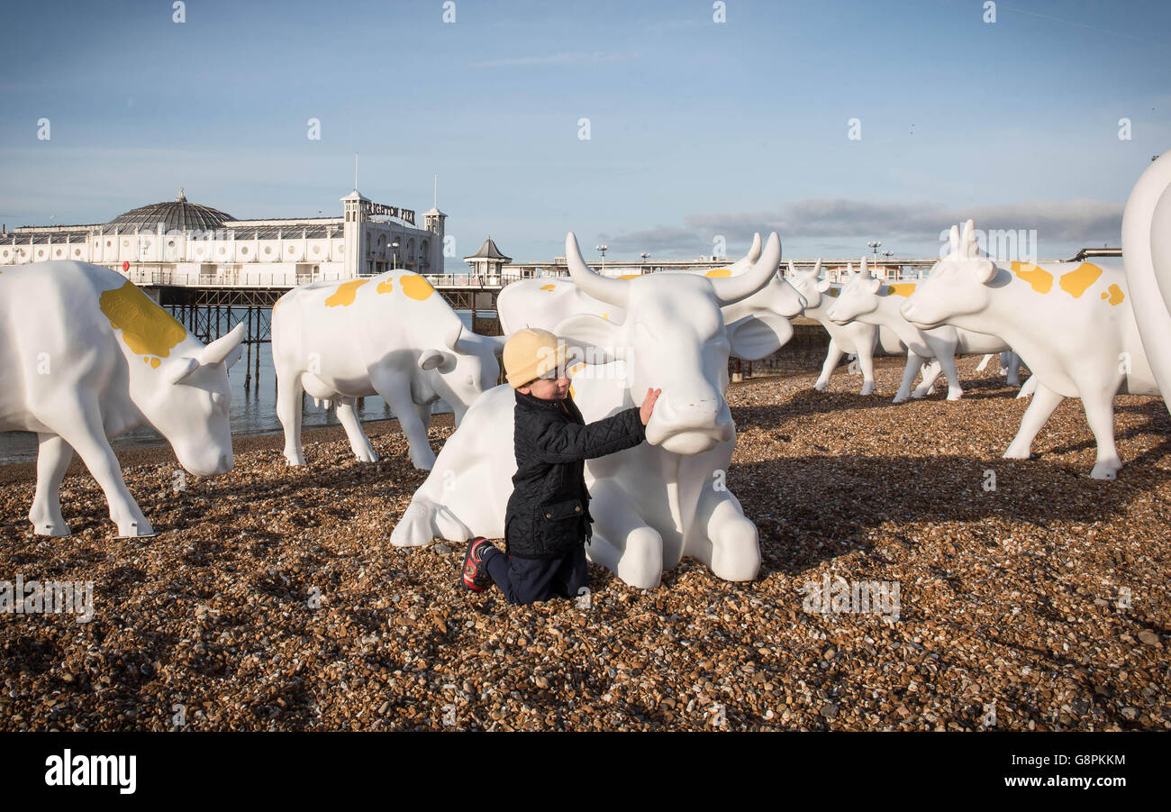 Arla bob milk hi-res stock photography and images - Alamy