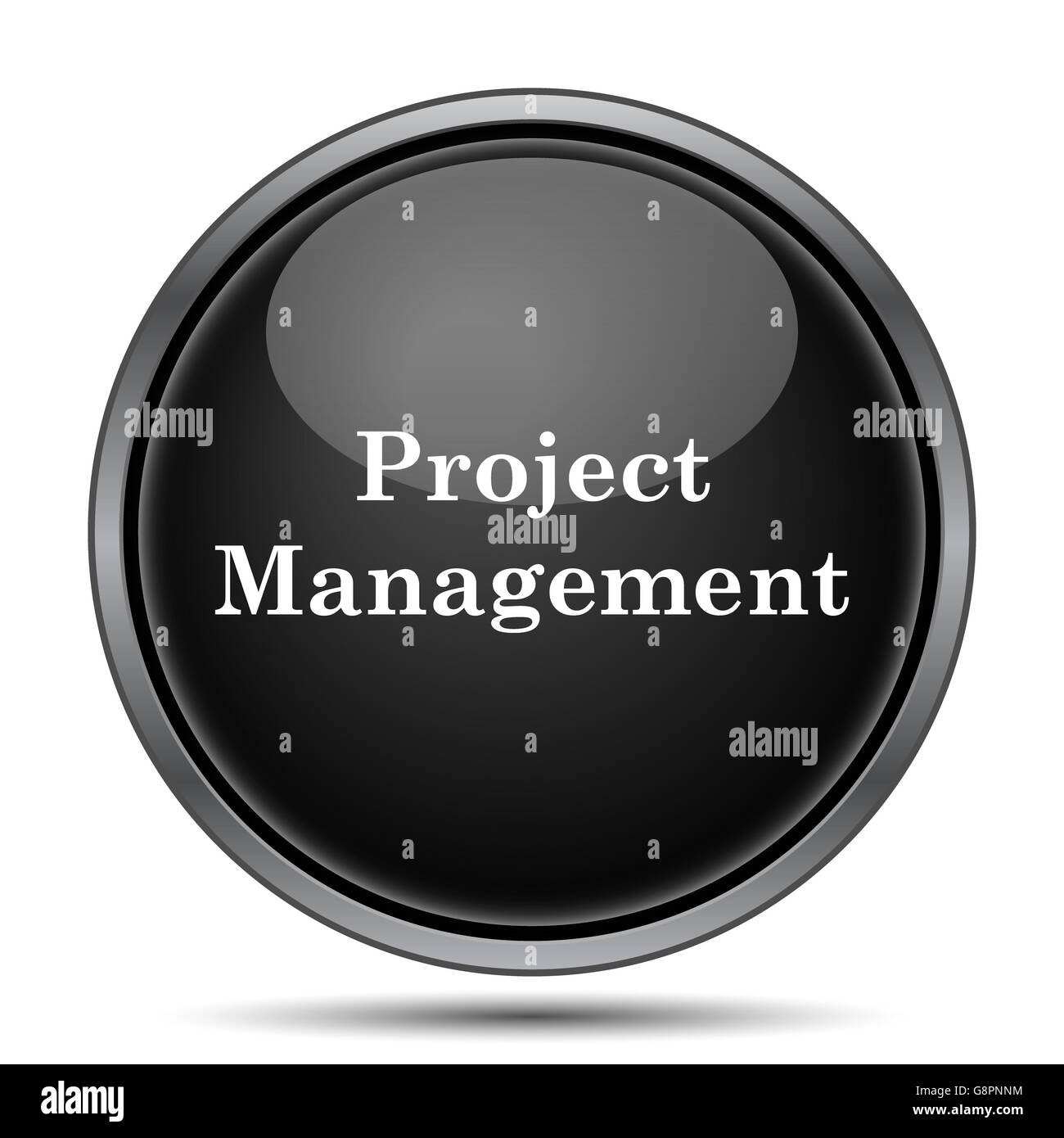 Project management icon. Internet button on white background Stock ...