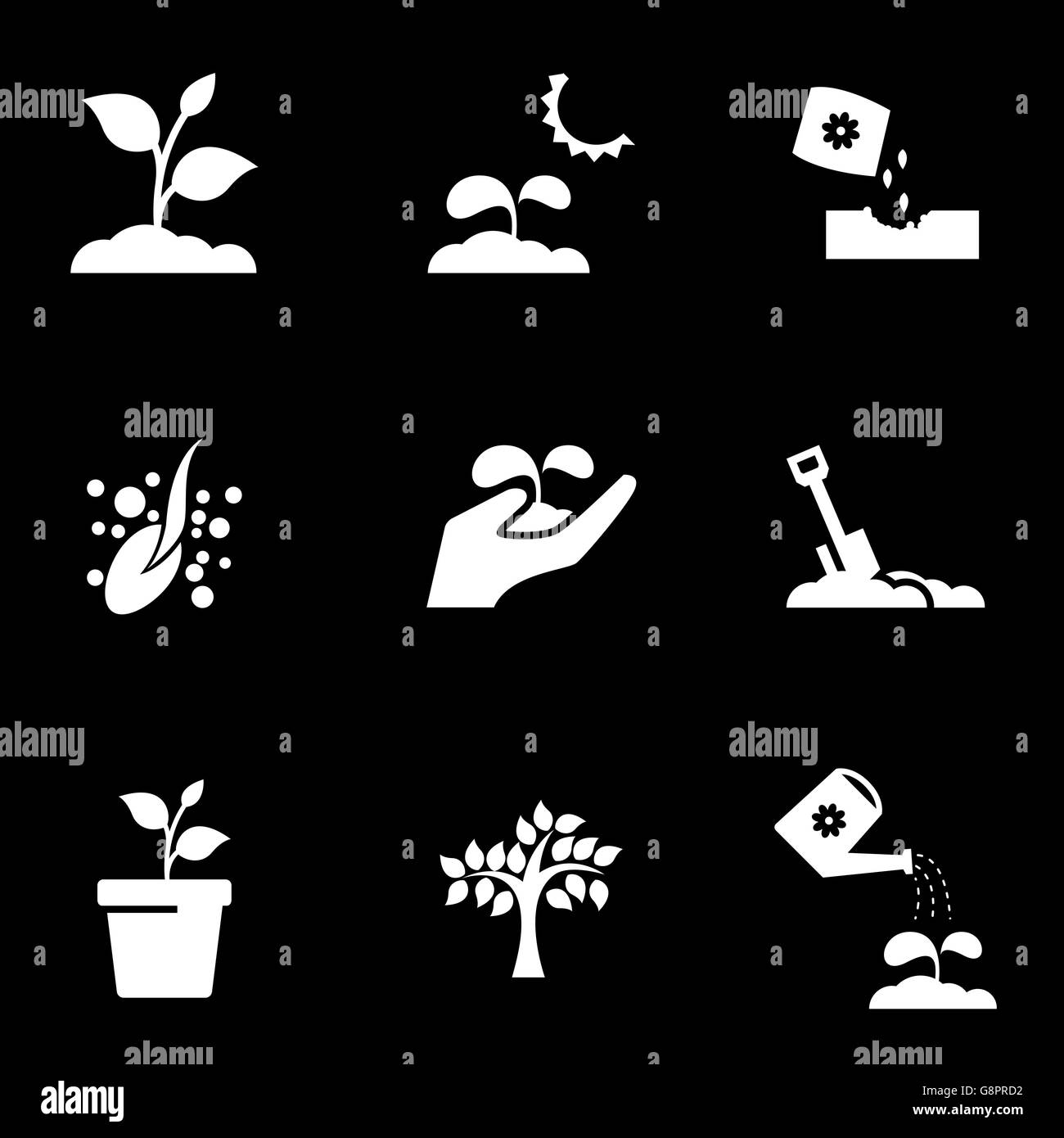 Vector white growing icon set Stock Vector Image & Art - Alamy