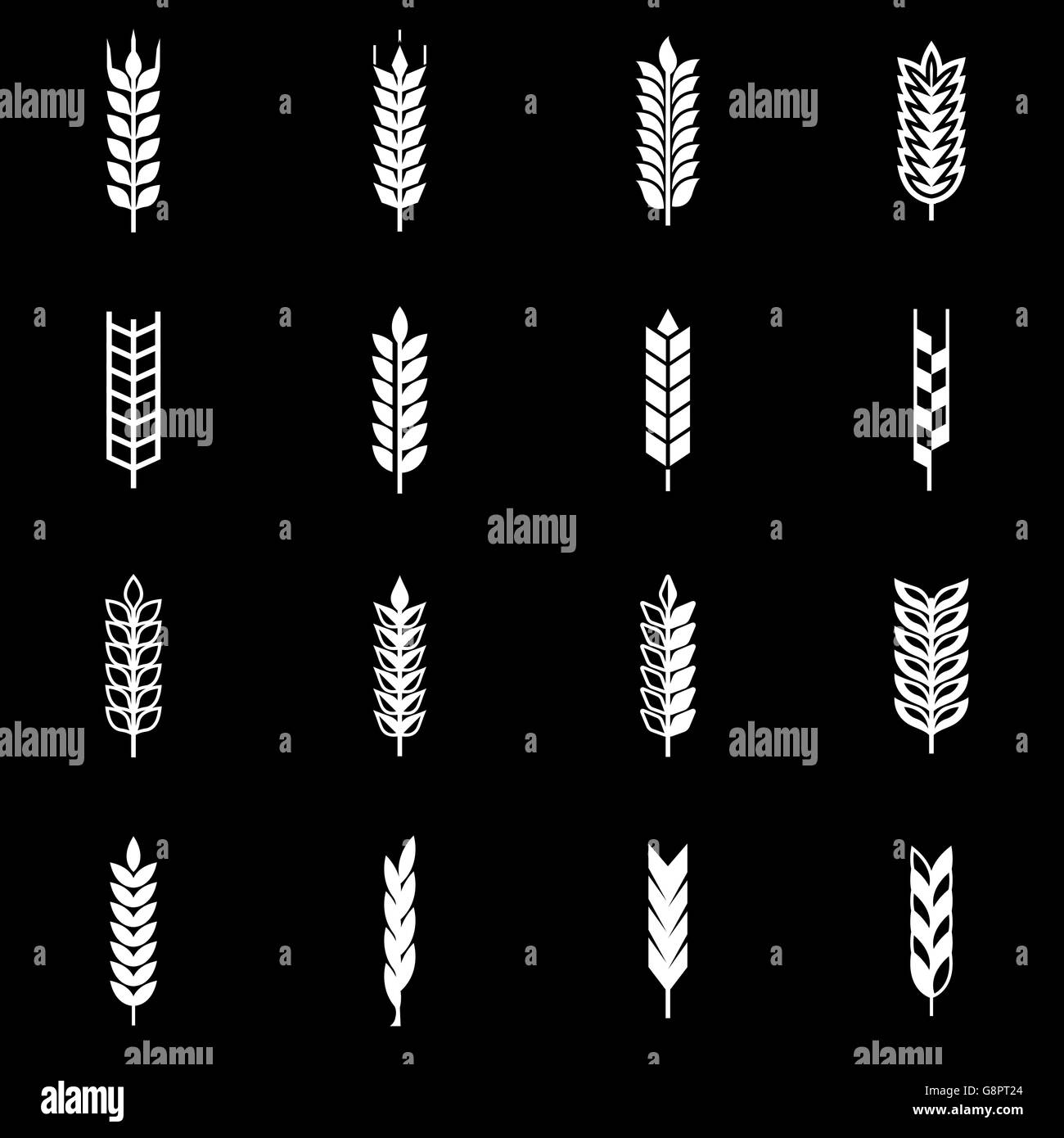 Vector white wheat ear icon set Stock Vector Image & Art - Alamy Vector white wheat ear icon set Stock Vector Image & Art - Alamy