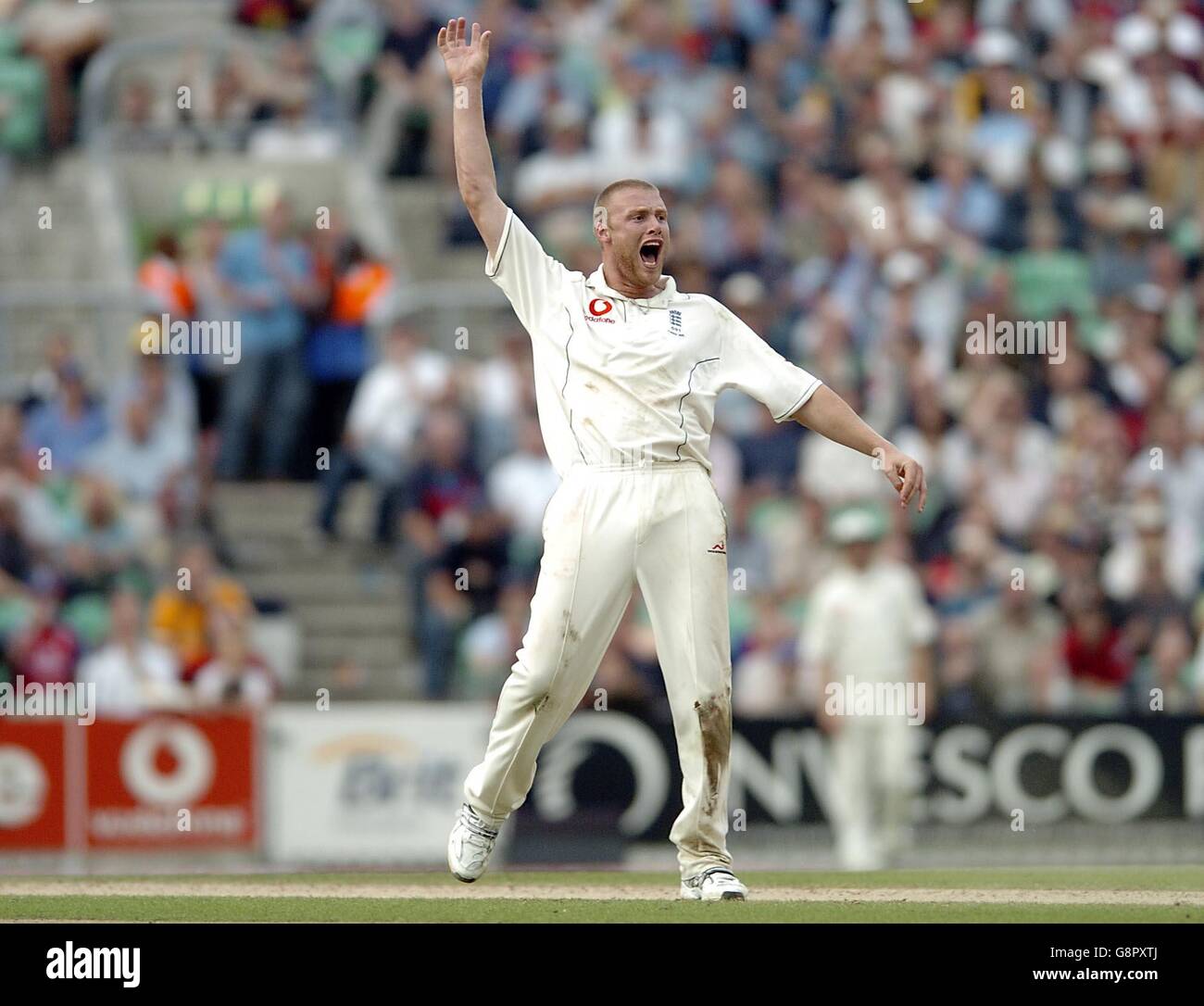 England's Andrew Flintoff appeals for the wicket of Australia's Matthew ...
