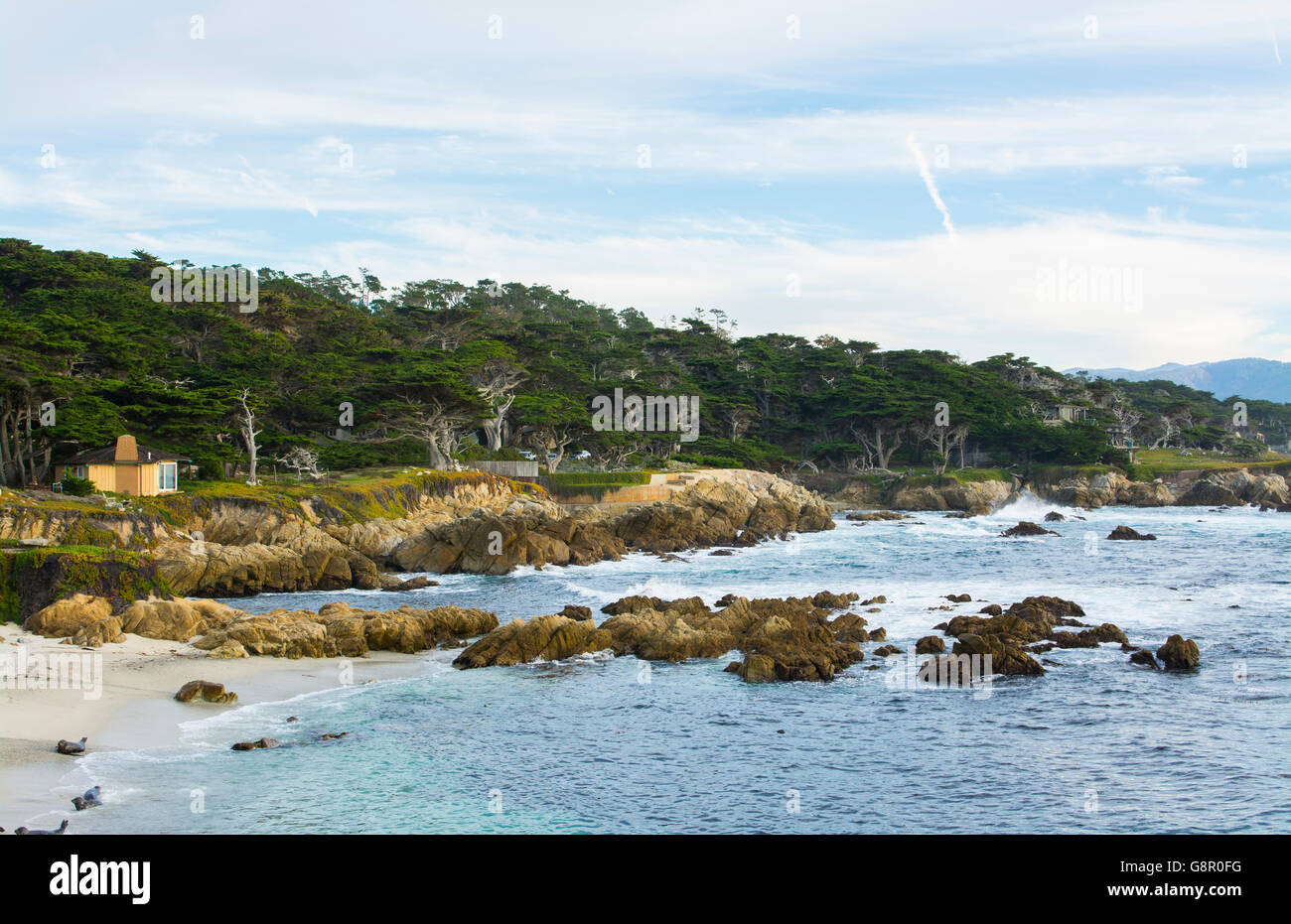 Pebble Beach California seals at Cypress Point Lookout and ocean on 17 ...