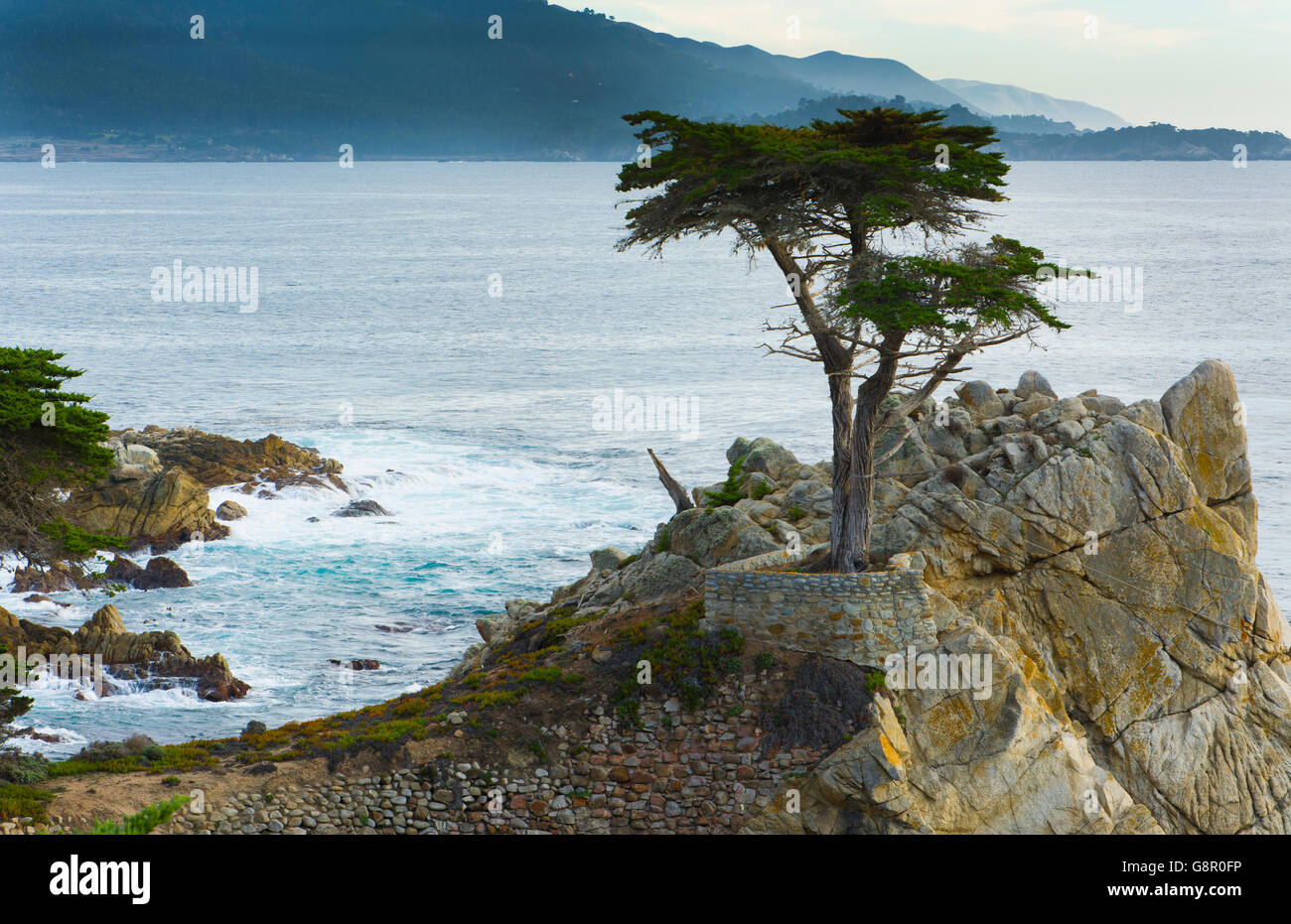 Pebble Beach California famous Lone Elm cypress tree and ocean on 17 ...