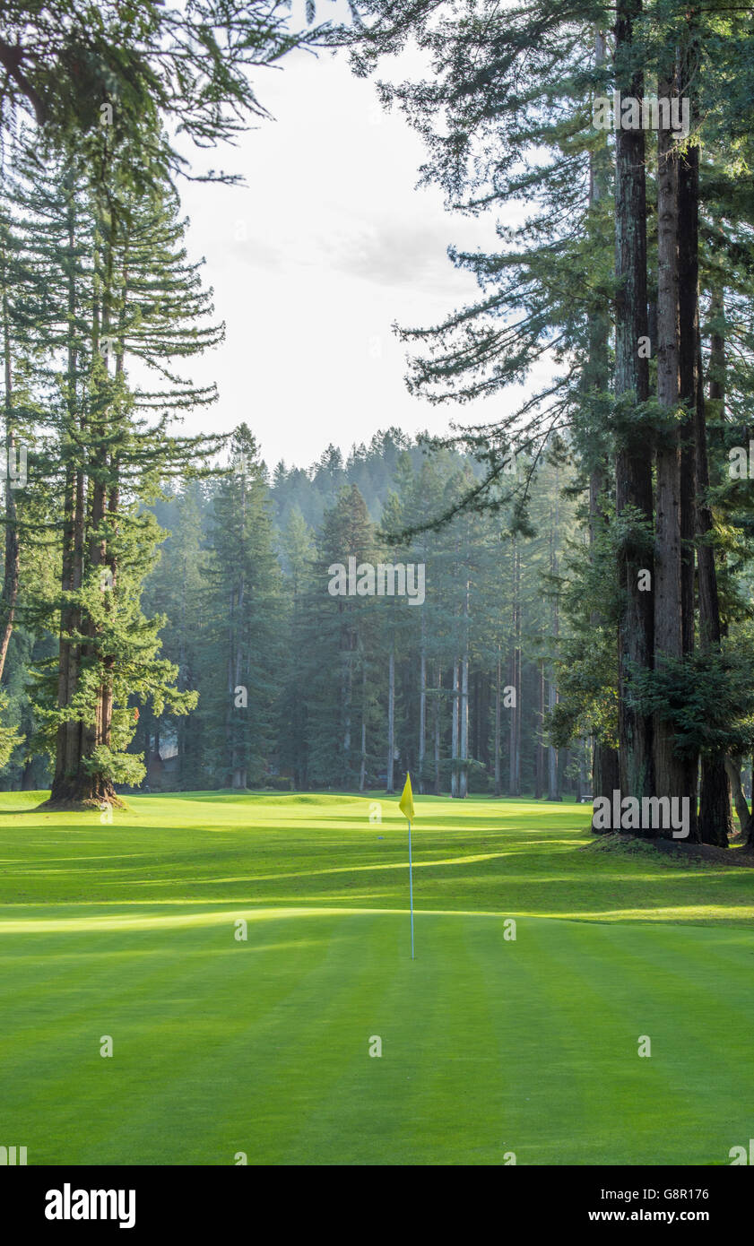 Northwood Calfornia trees and sunshine peaceful golf course called ...