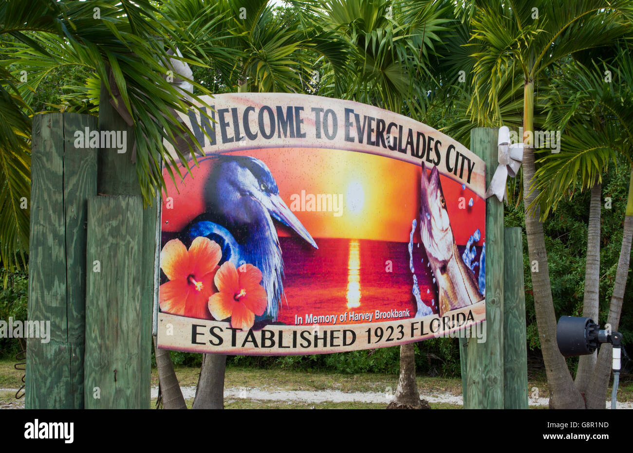 Everglades city national park florida hi-res stock photography and ...