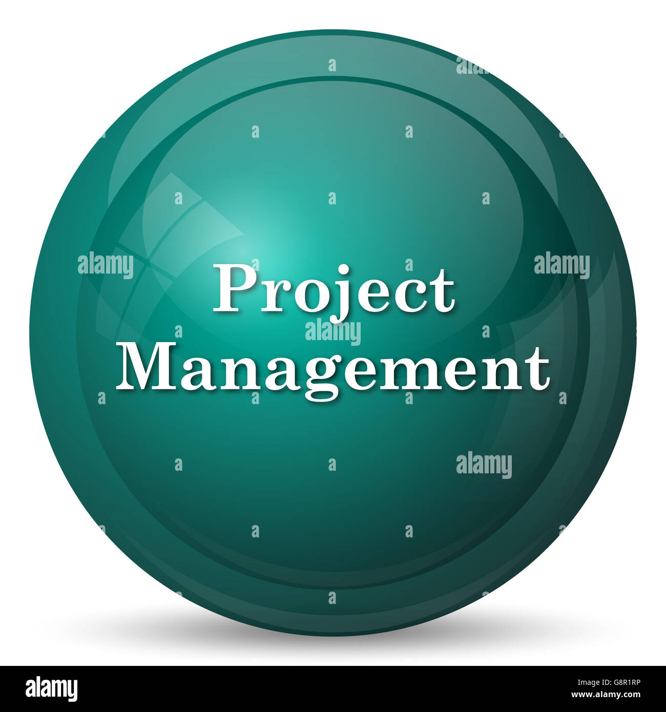 Project management icon. Internet button on white background Stock ...