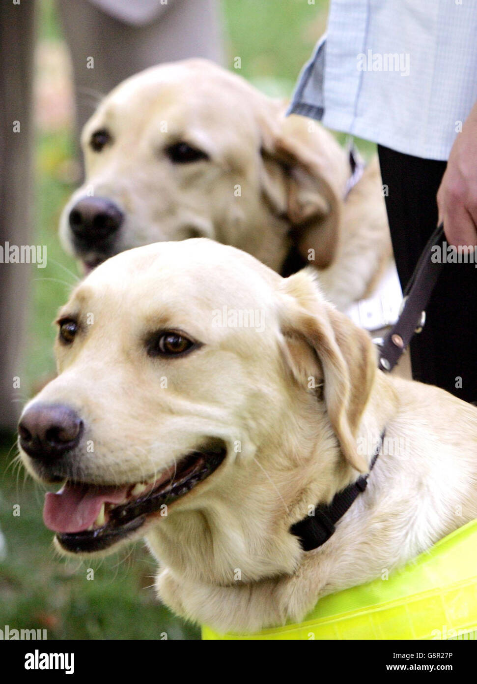 Two year old eamon hi-res stock photography and images - Alamy