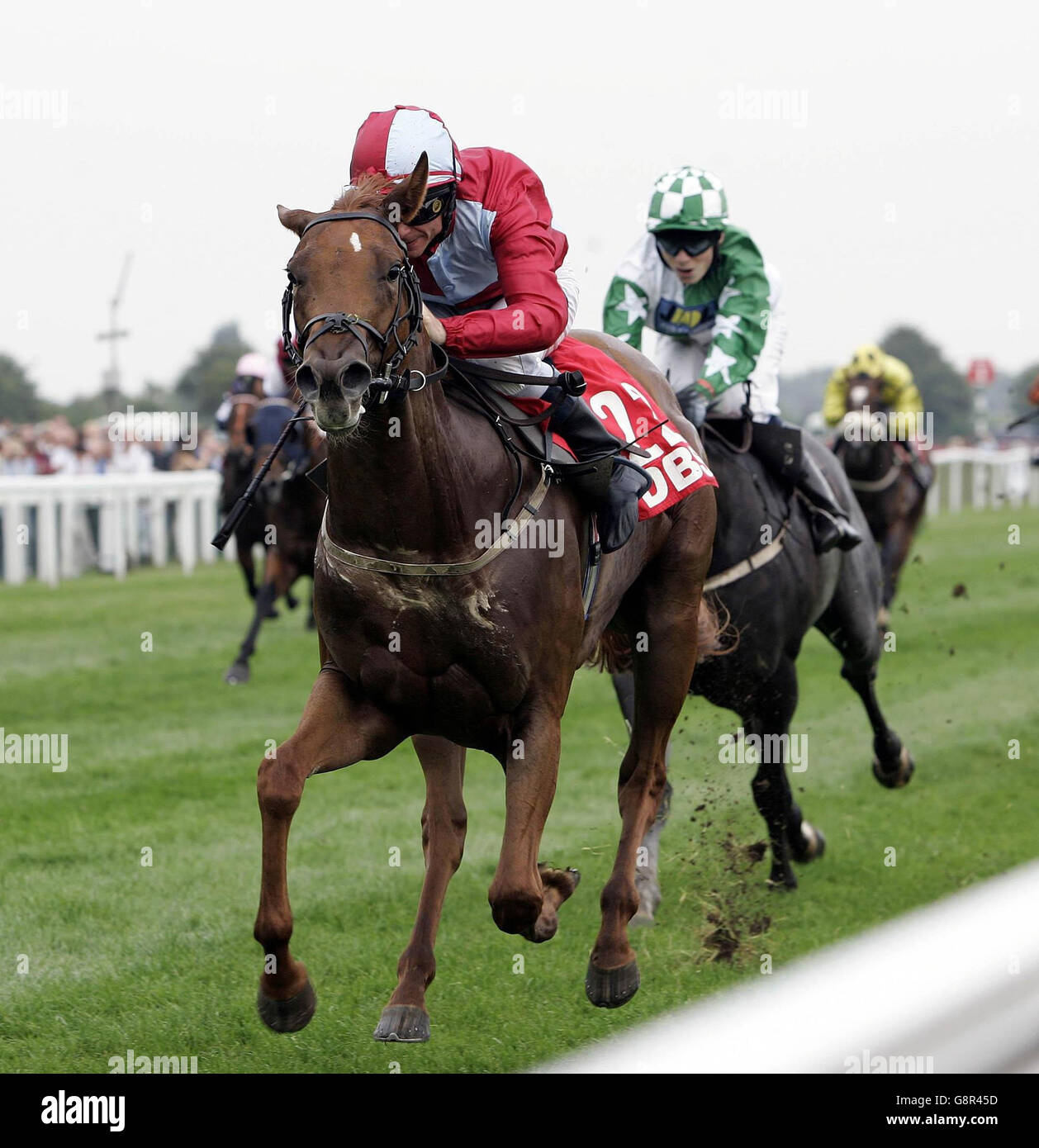 Princess Cleo with jockey Richard Quinn wins the DBS St Leger Yearling ...