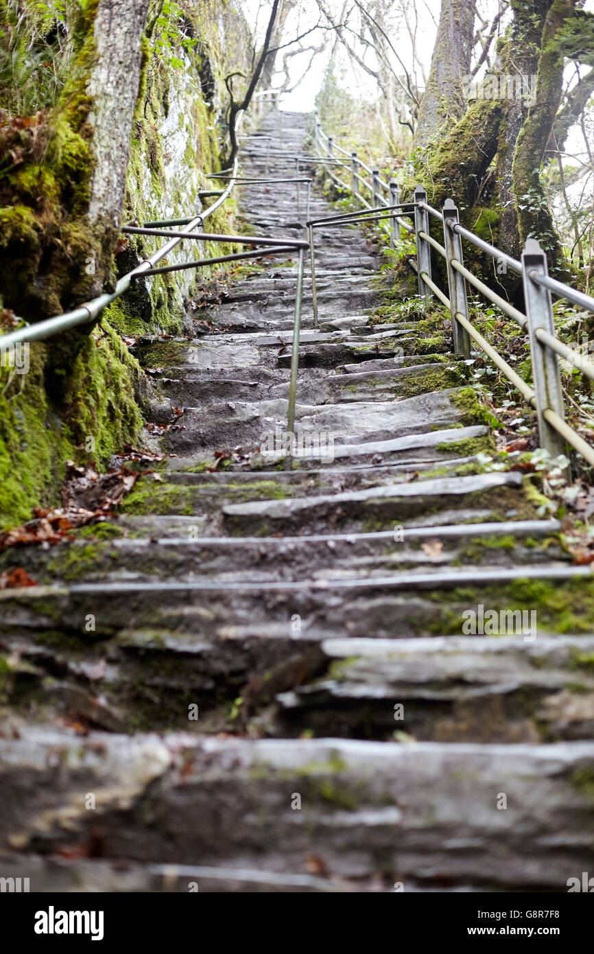 steep steps in rock Stock Photo - Alamy