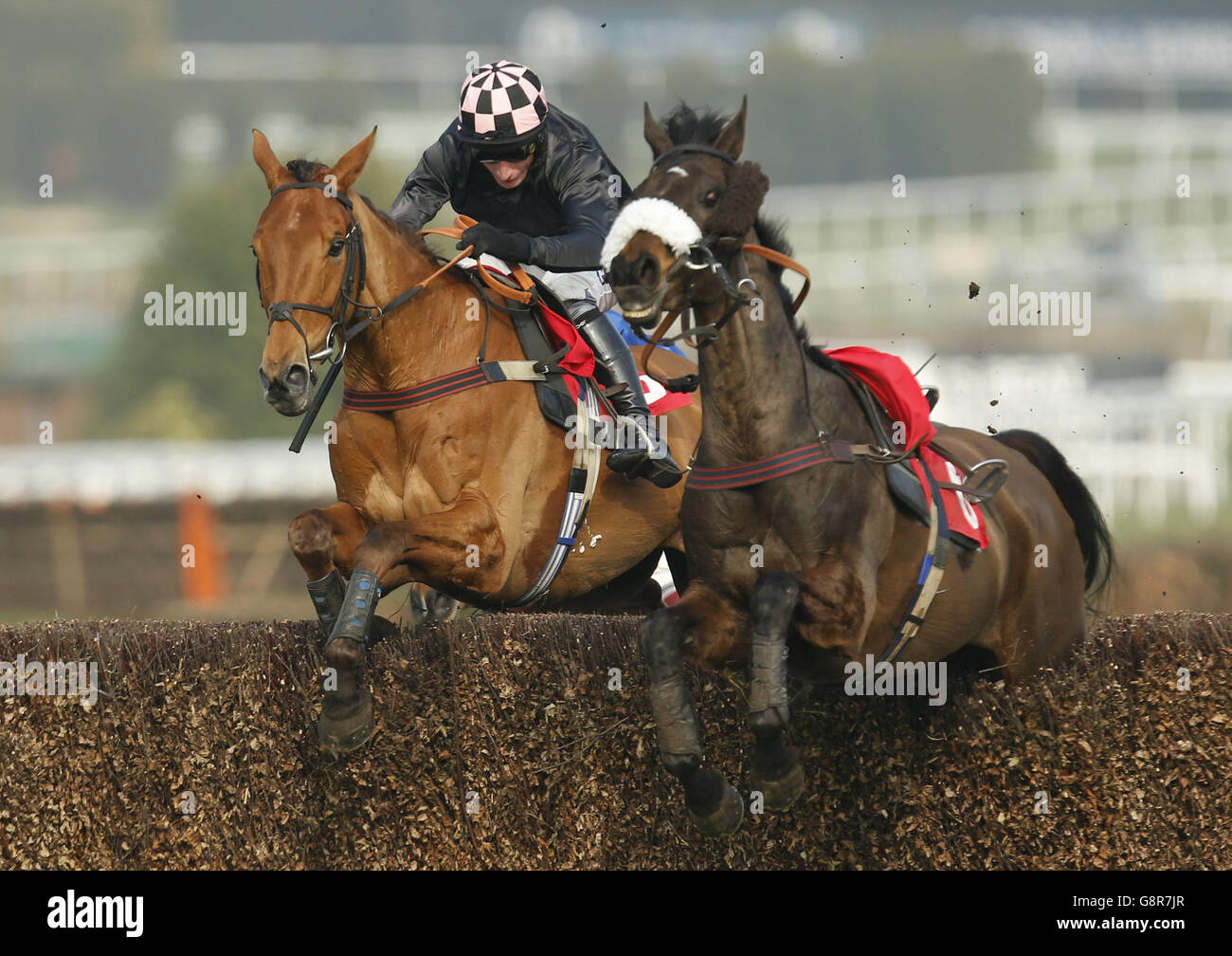 Mosspark hi-res stock photography and images - Alamy