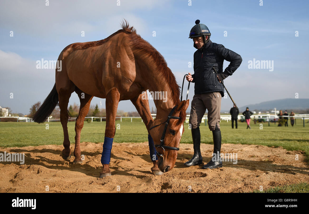 Annie power horse hi-res stock photography and images - Alamy
