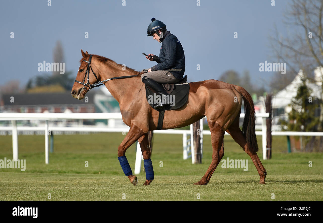 Annie power cheltenham hi-res stock photography and images - Alamy