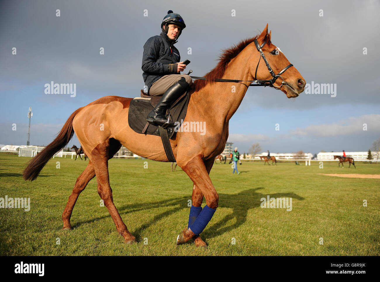 Annie power horse hi-res stock photography and images - Alamy