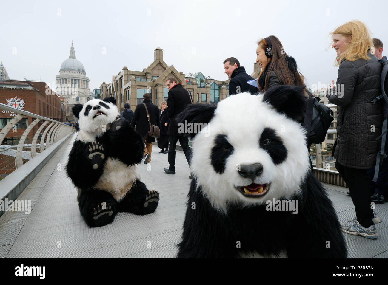 News consumer pandamonium hi-res stock photography and images - Alamy