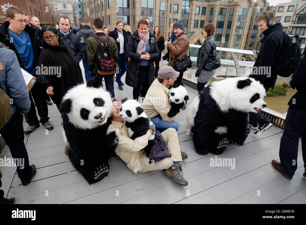 A family of animatronic panda bears cross Millennium Bridge in London ...