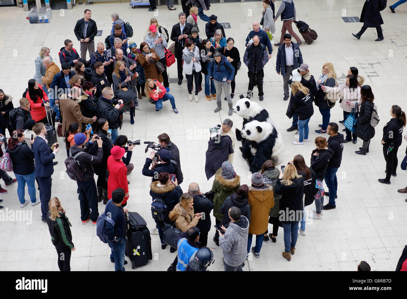 Pandamonium hi-res stock photography and images - Alamy