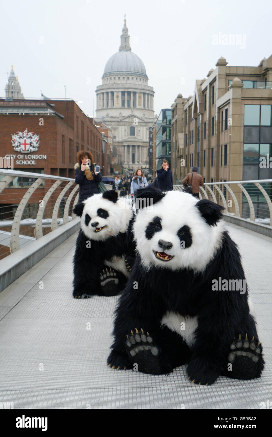 Pandamonium hi-res stock photography and images - Alamy