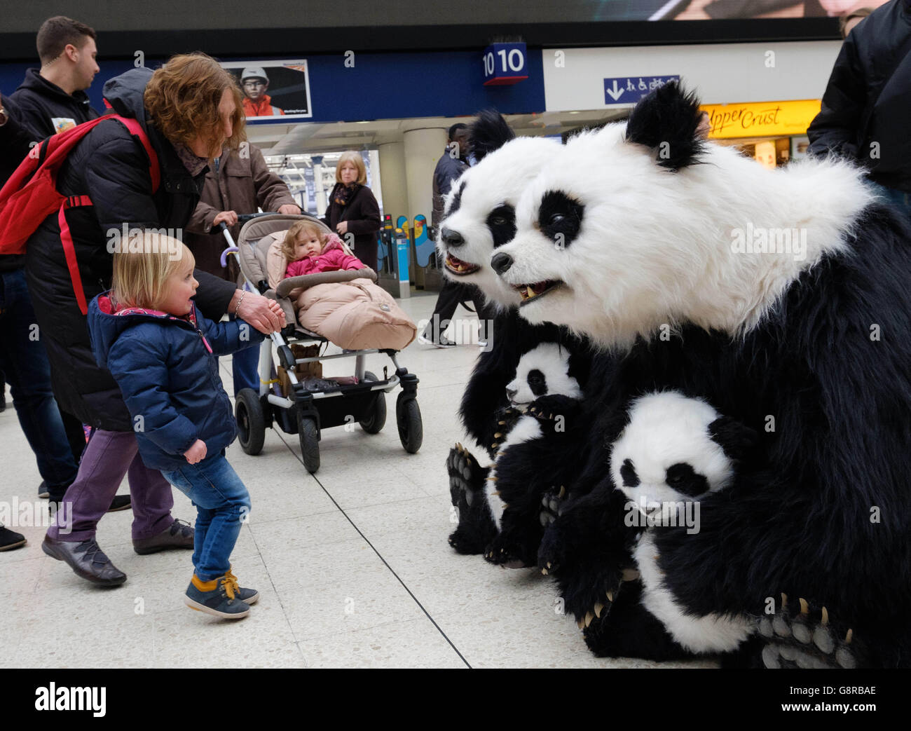 Pandamonium hi-res stock photography and images - Alamy