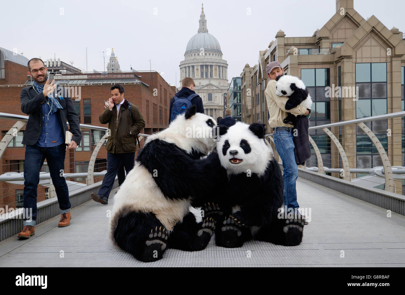 Pandamonium hi-res stock photography and images - Alamy
