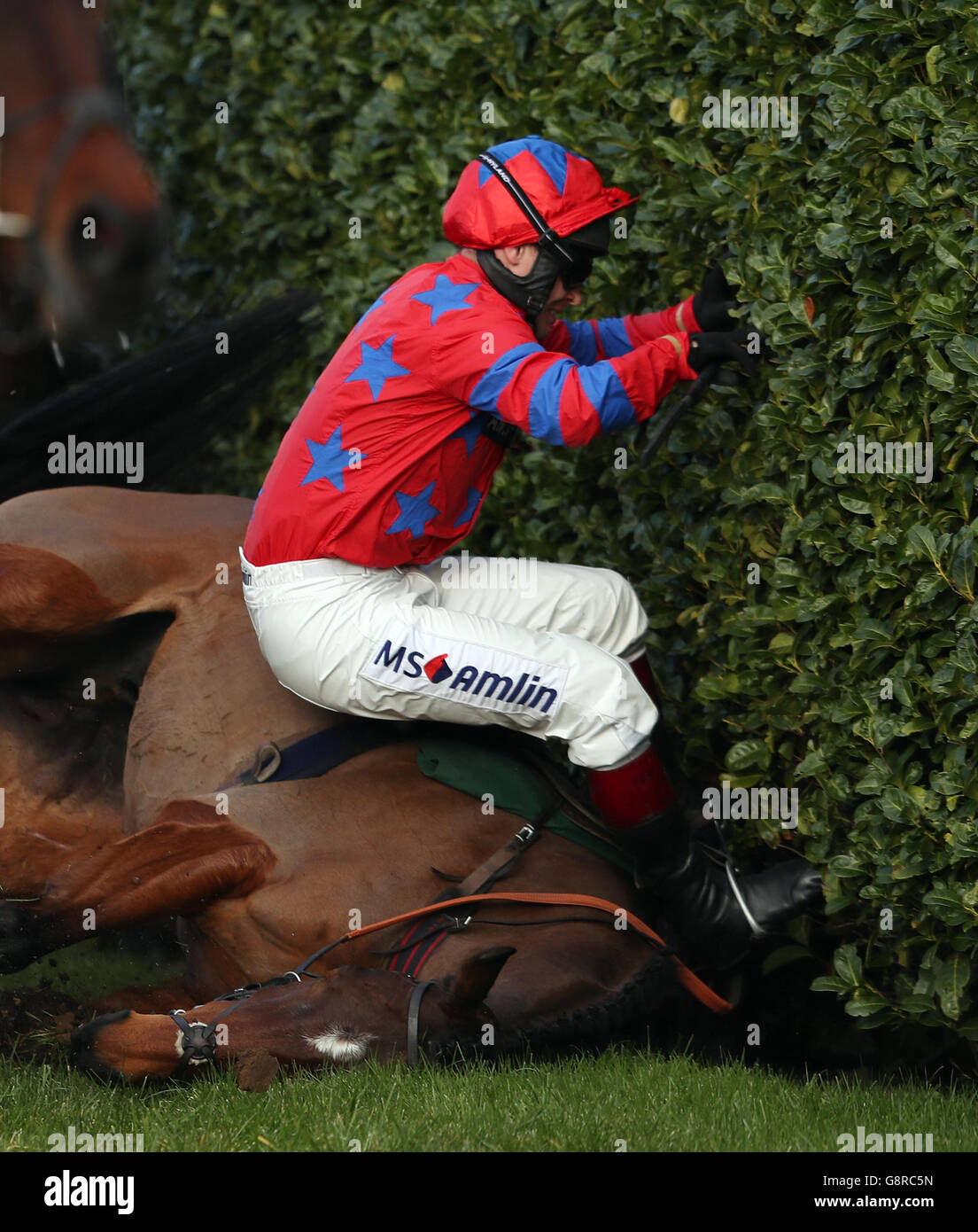 King balthazar hi-res stock photography and images - Alamy