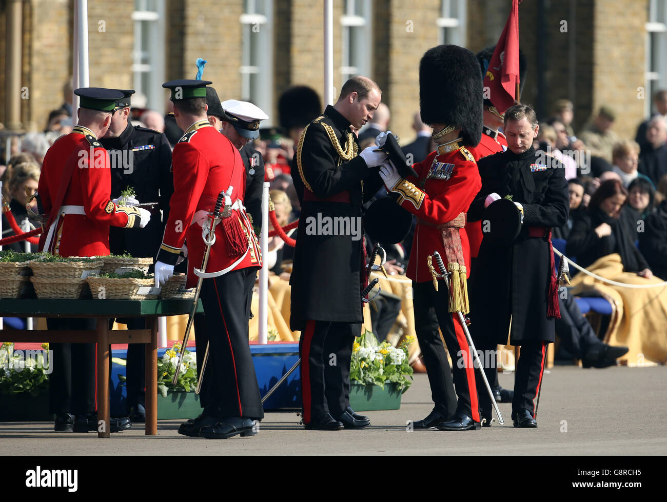 Sprigs of shamrock hi-res stock photography and images - Alamy