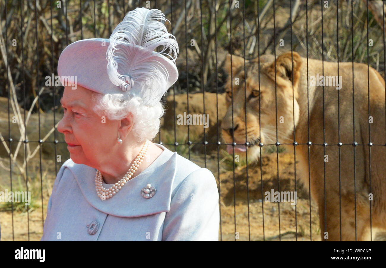 Queen Elizabeth II at London Zoo to mark the launch of a new lion ...
