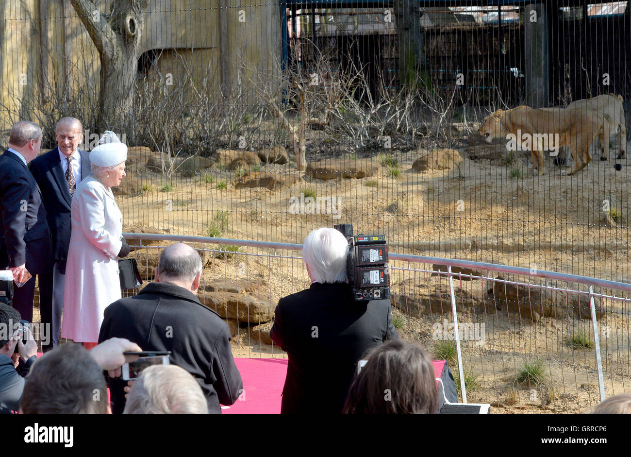 Queen Elizabeth II and the Duke of Edinburgh at London Zoo to mark the ...