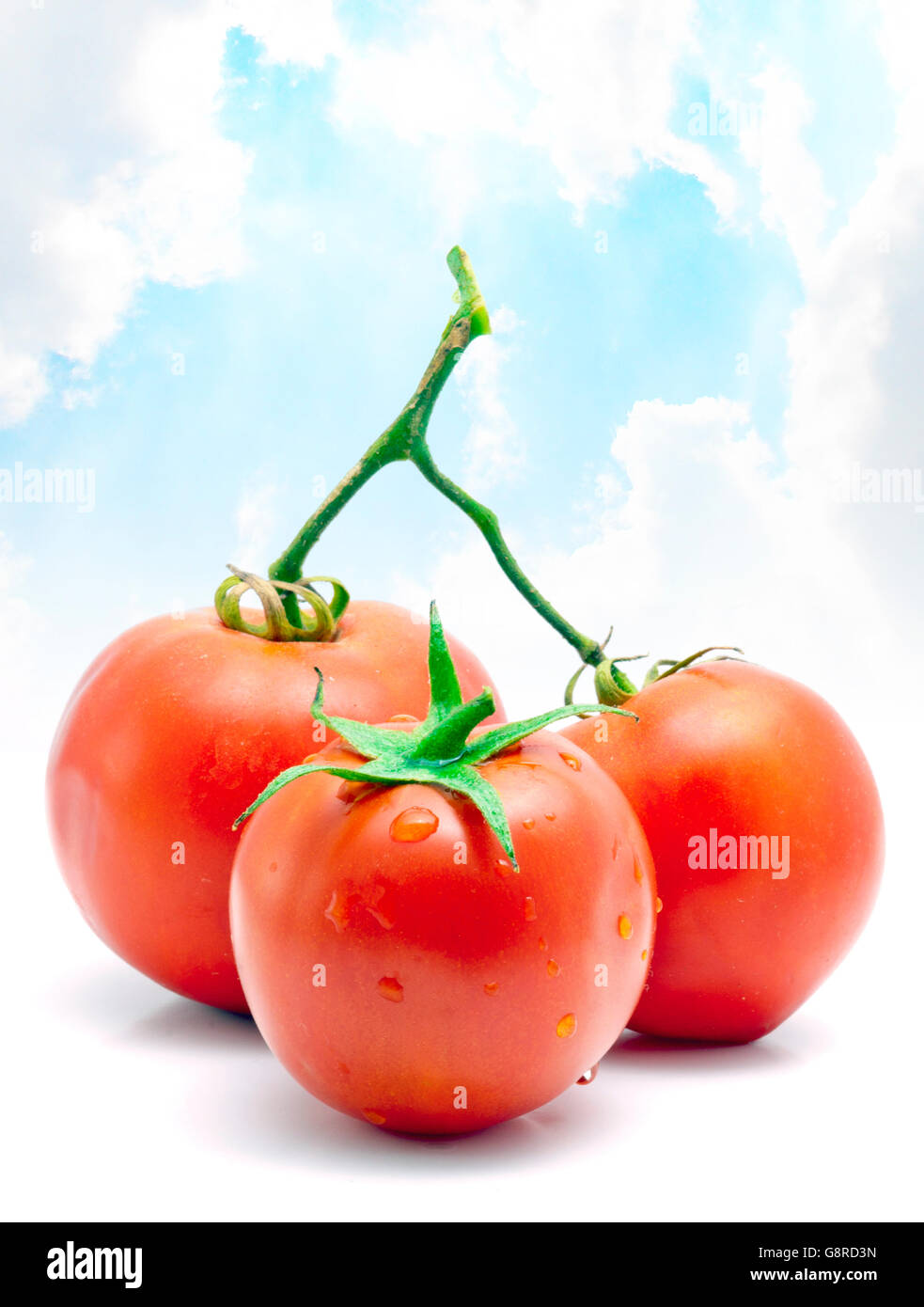 Half ripen tomato hi-res stock photography and images - Alamy