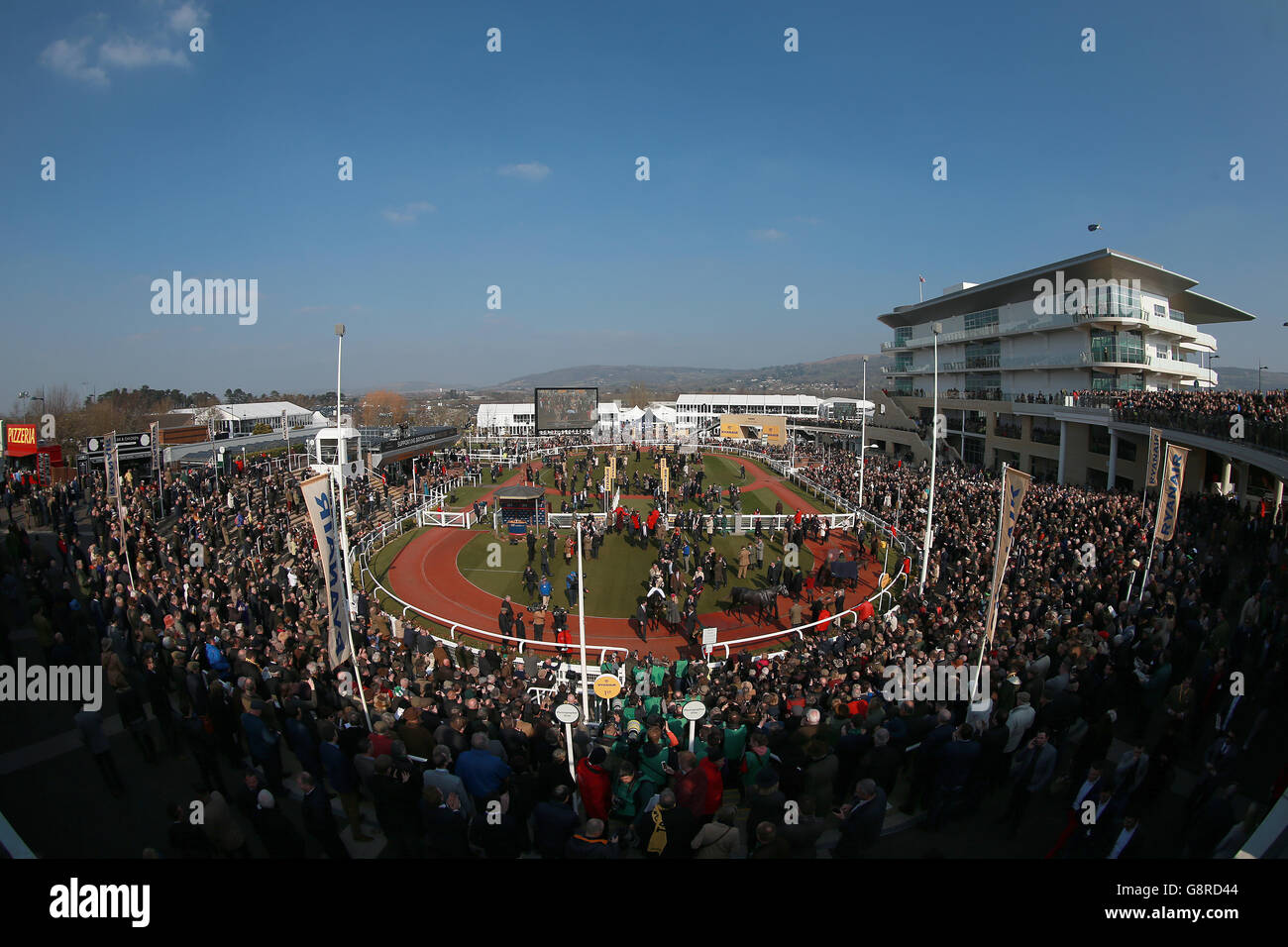 A general of the parade ring during St Patrick's Thursday of the 2016 ...