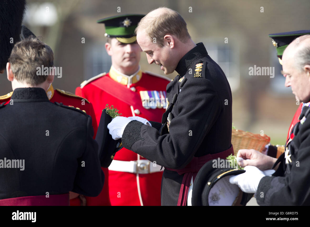 The Duke of Cambridge attaches a sprig of shamrock to his hat as he ...