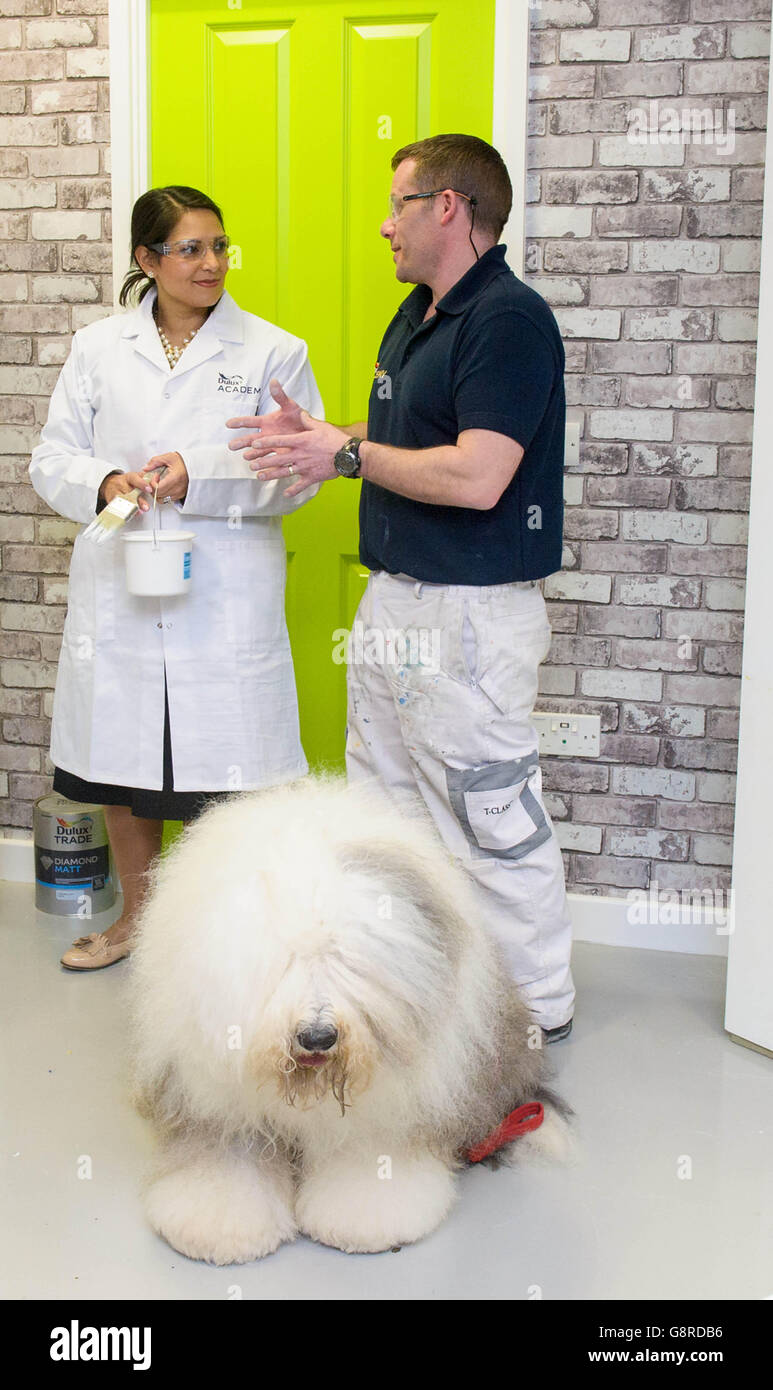 AkzoNobel's Dulux Academy opening Stock Photo - Alamy