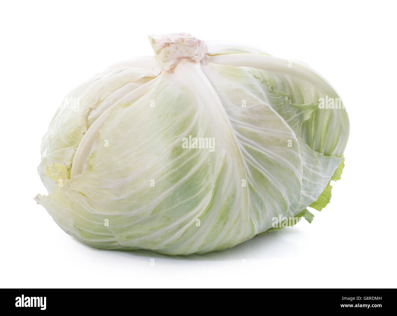 Big green leafs background Cut Out Stock Images & Pictures - Alamy