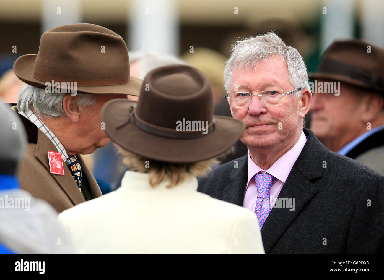 Sir alex ferguson gold cup day cheltenham festival cheltenham ...