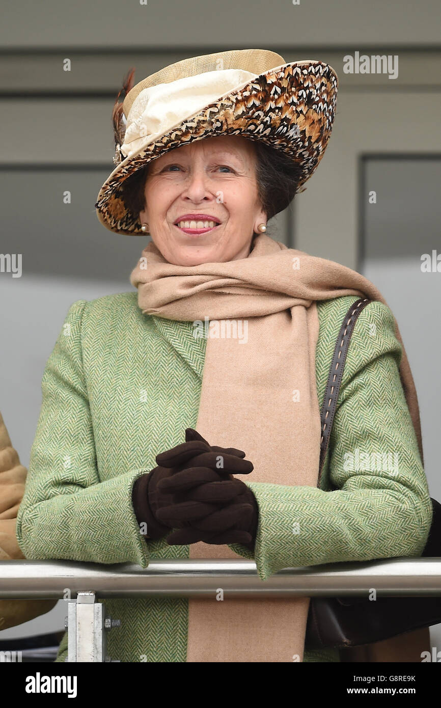 The princess royal during gold cup day at cheltenham racecourse hi-res ...