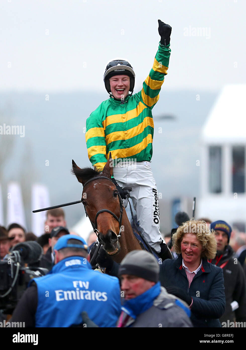 Horse racing mid length half cheltenhamcollection hi-res stock ...