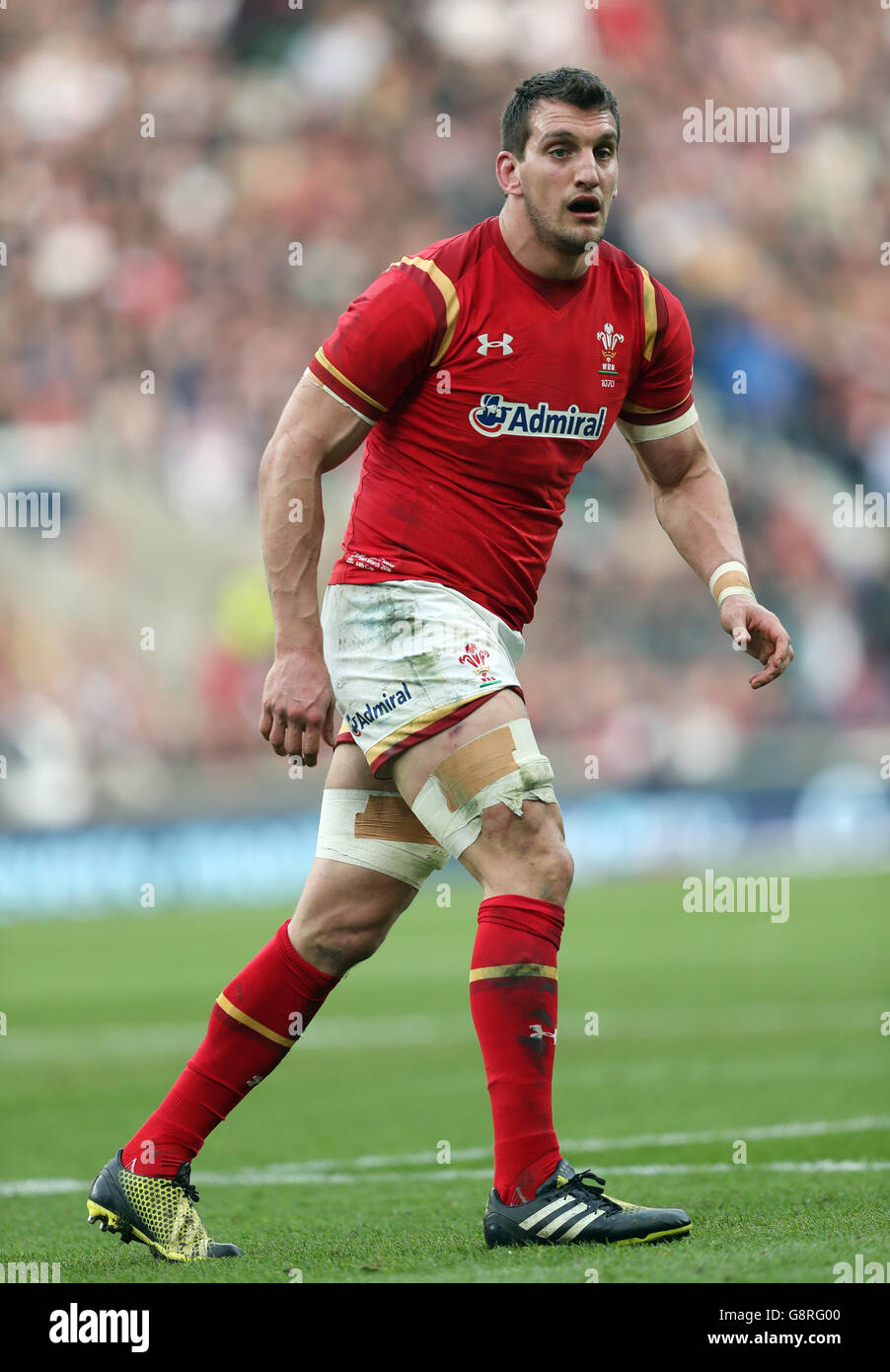 Sam warburton 2016 hi-res stock photography and images - Alamy