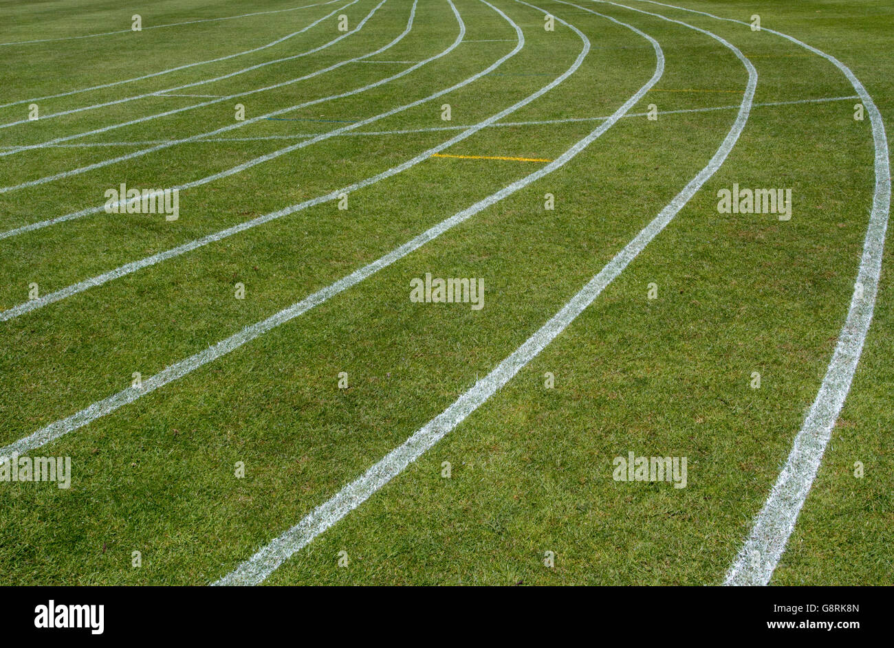 Grass running track markings hi-res stock photography and images - Alamy