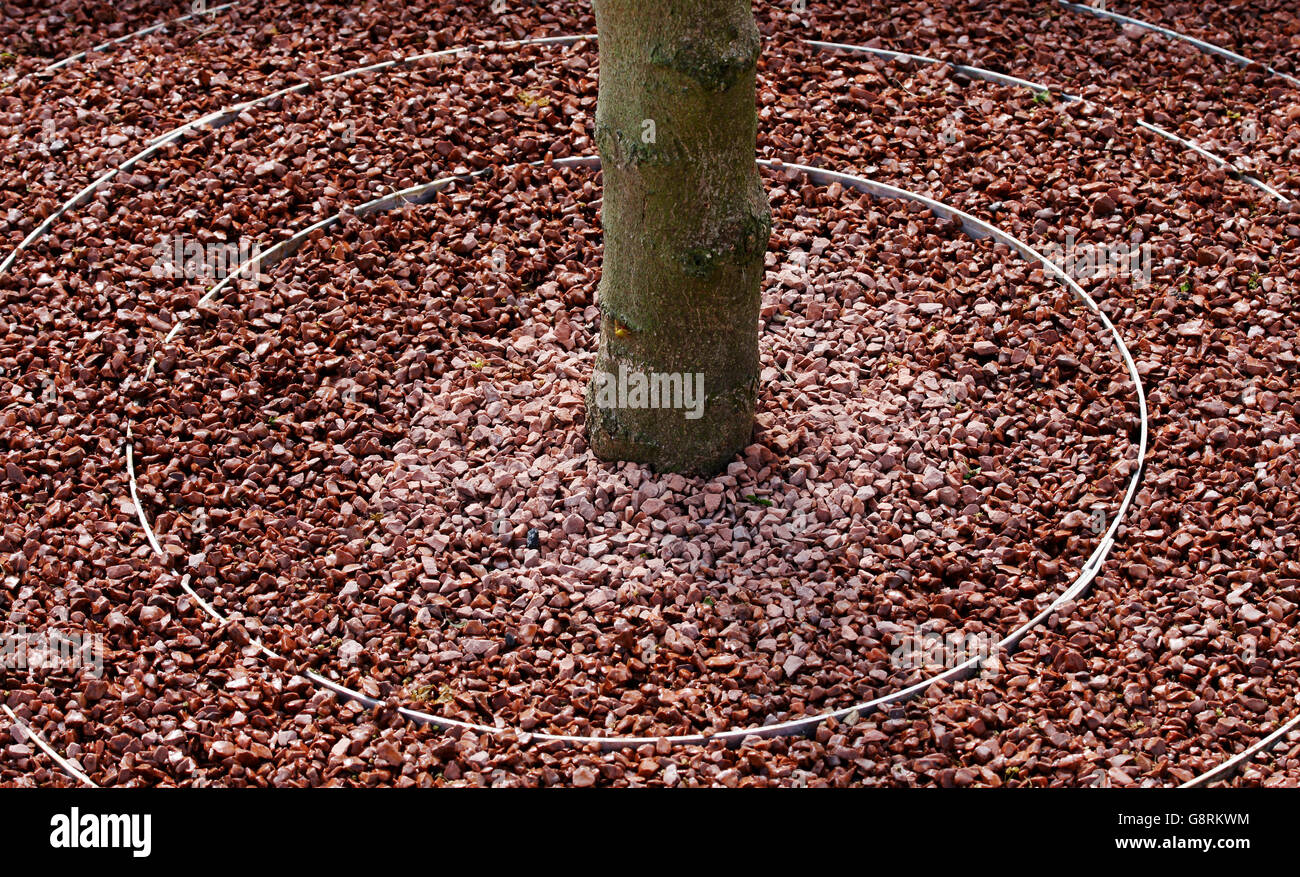 Circular tree base surround, stone chippings Stock Photo - Alamy