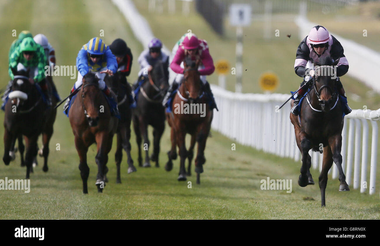 Curragh Races. Mister Trader ridden by Lee Roche wins The Tally Ho Stud ...