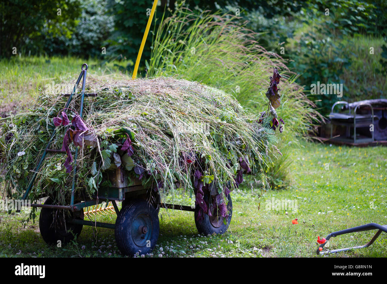 Haymaking in the village Stock Photo - Alamy