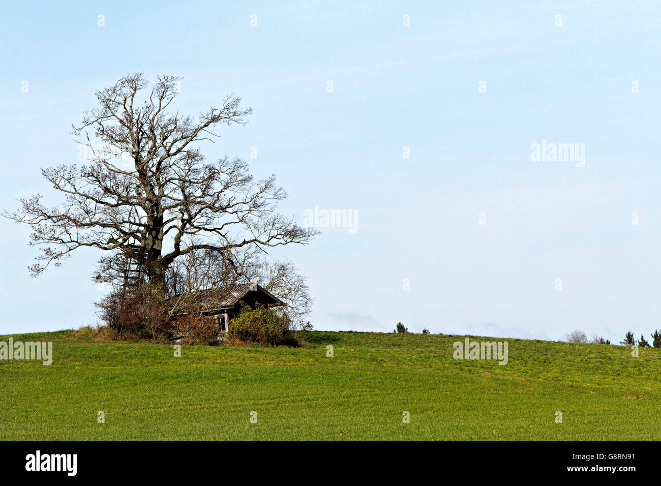 Hut under tree hi-res stock photography and images - Alamy