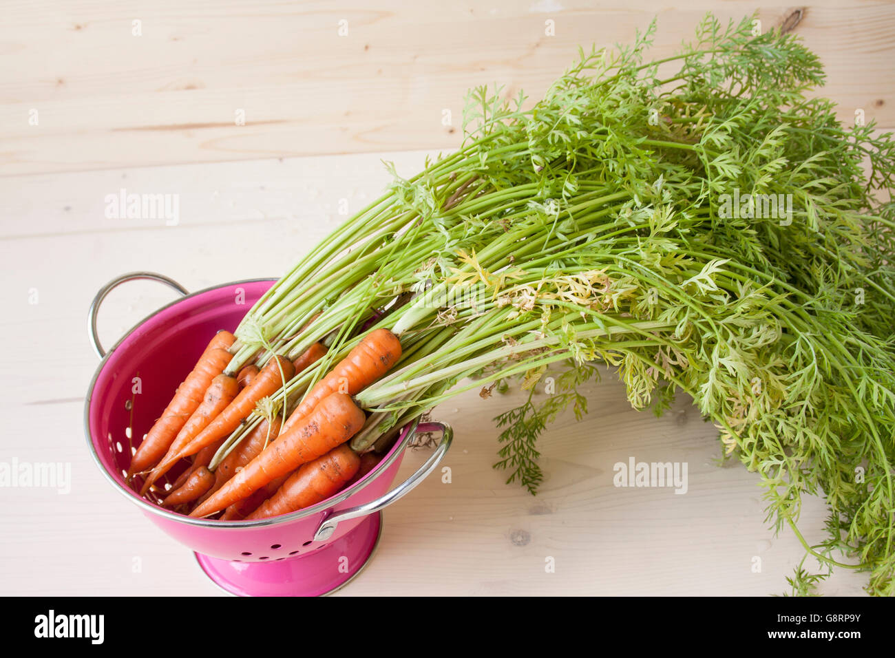 From the vegetable garden hi-res stock photography and images - Alamy