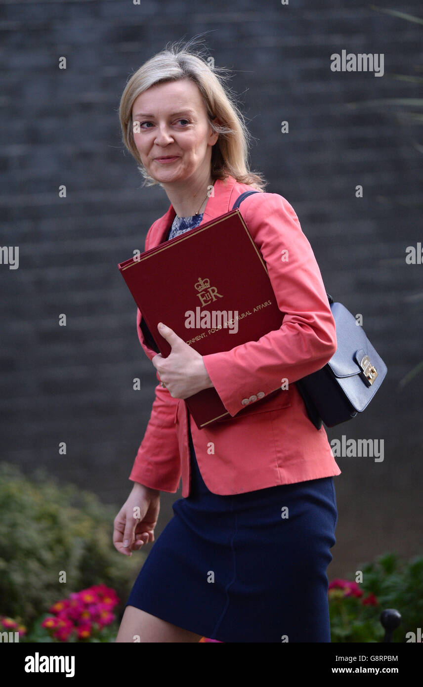 Environment Secretary Elizabeth Truss arrives for a Cabinet meeting in ...
