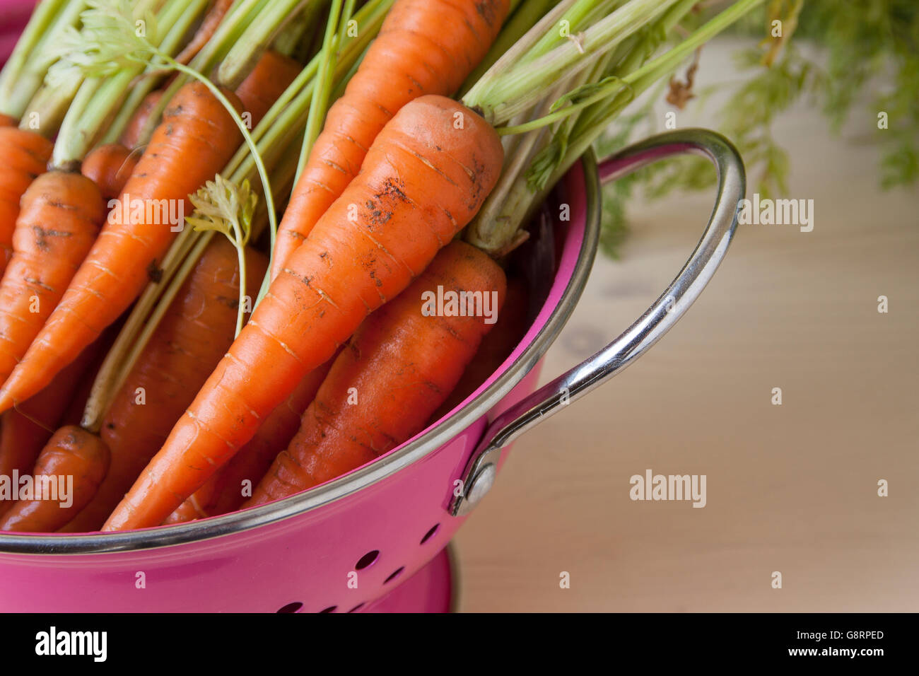 From the vegetable garden hi-res stock photography and images - Alamy