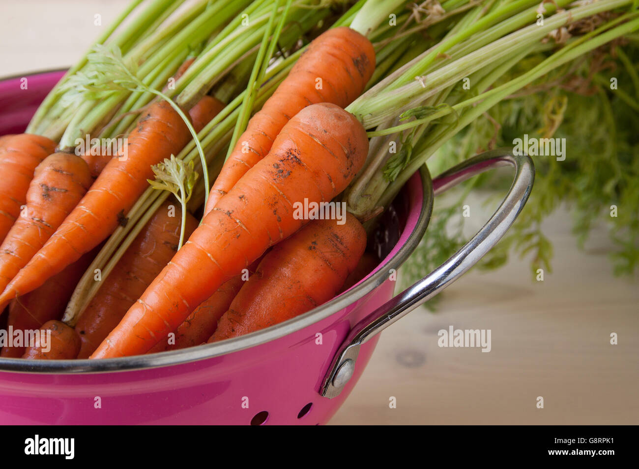 From the vegetable garden hi-res stock photography and images - Alamy