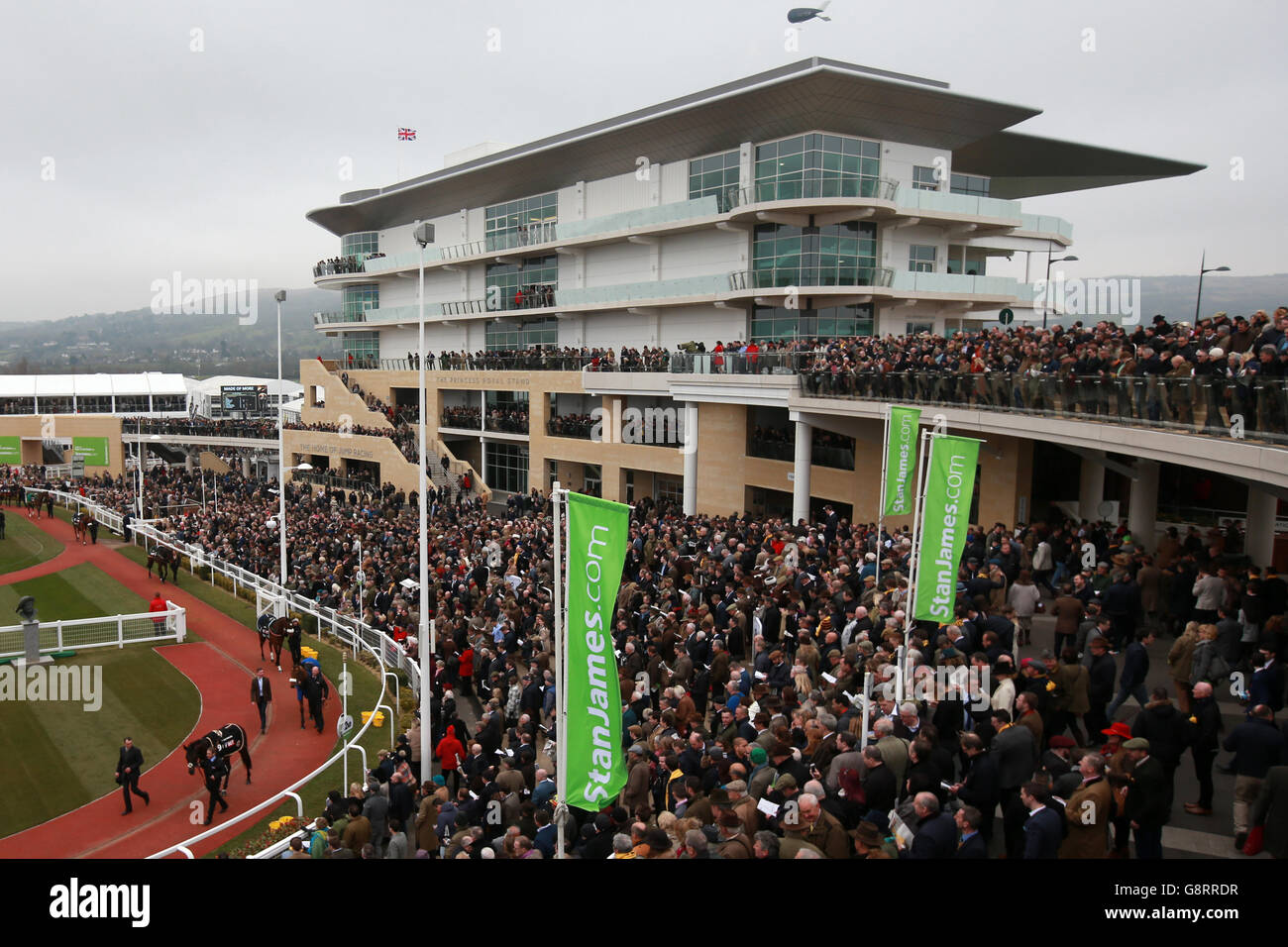 A general view of the parade ring at cheltenham racecourse hi-res stock ...