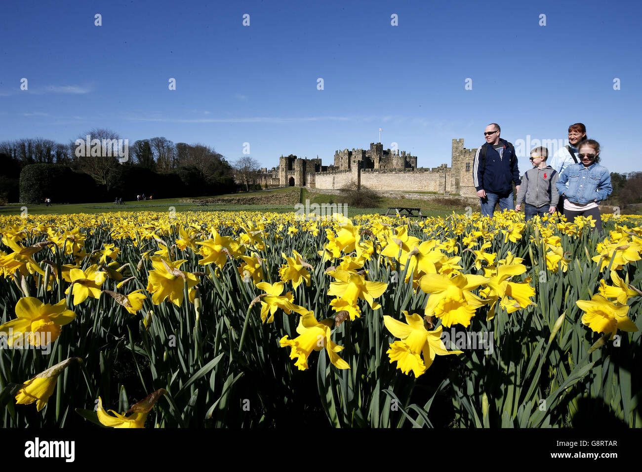 People enjoying the sunny weather at Alnwick Castle in Northumberland ...