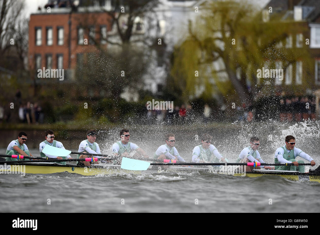 2016 Cancer Research UK Men's Boat Race. Cambridge Men's Blue Boat crew ...