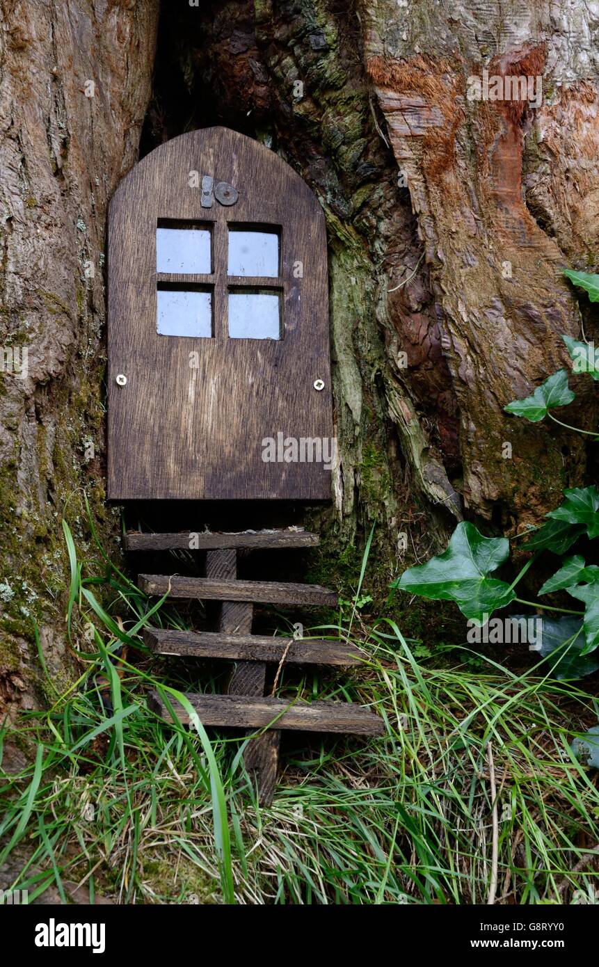 Fairy door in a tree trunk in woodland Stock Photo - Alamy